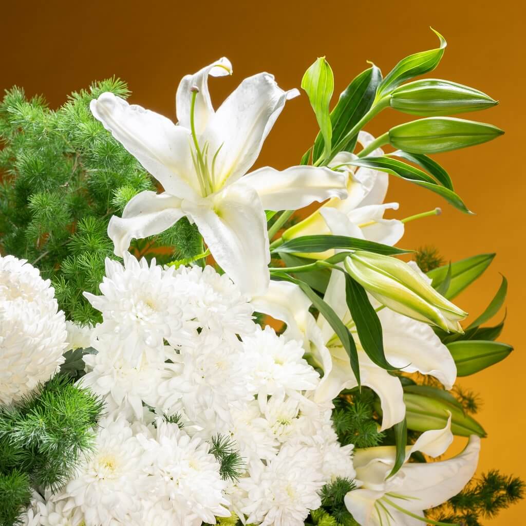 Lucent | Floral Tripod - Beato Fiore