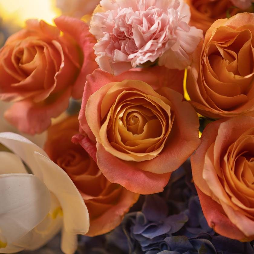 Like Angel's Gleam | Flower Bloombox - Beato Fiore